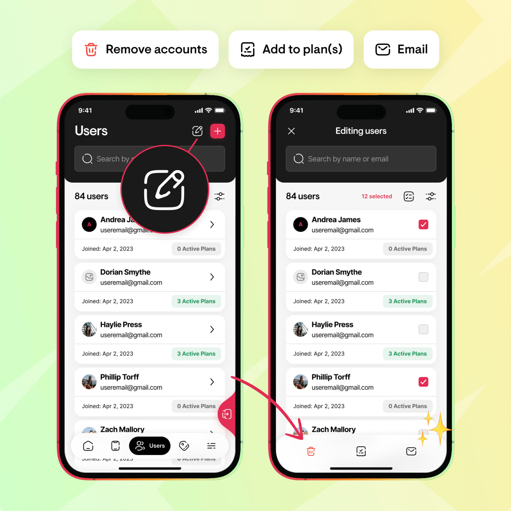 📋 How to manage users in bulk (and save time)